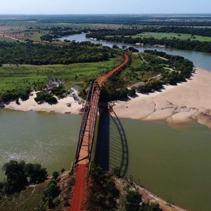 ¿Por qué El Vichada? | InverBosques | Gerencia de Proyectos Forestales ...